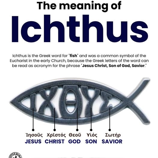 /b/ - Tonight will probably be my last night on Earth. I - Random - 4chan