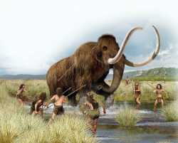 /ck/ - Let's you had the choice to eat any prehistoric meat - Food ...