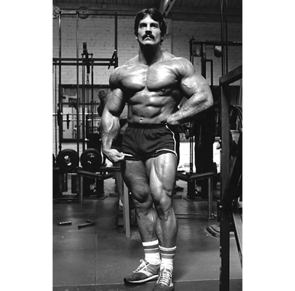 /fit/ - This place is so depressing. Normie fitness and bo - Fitness ...