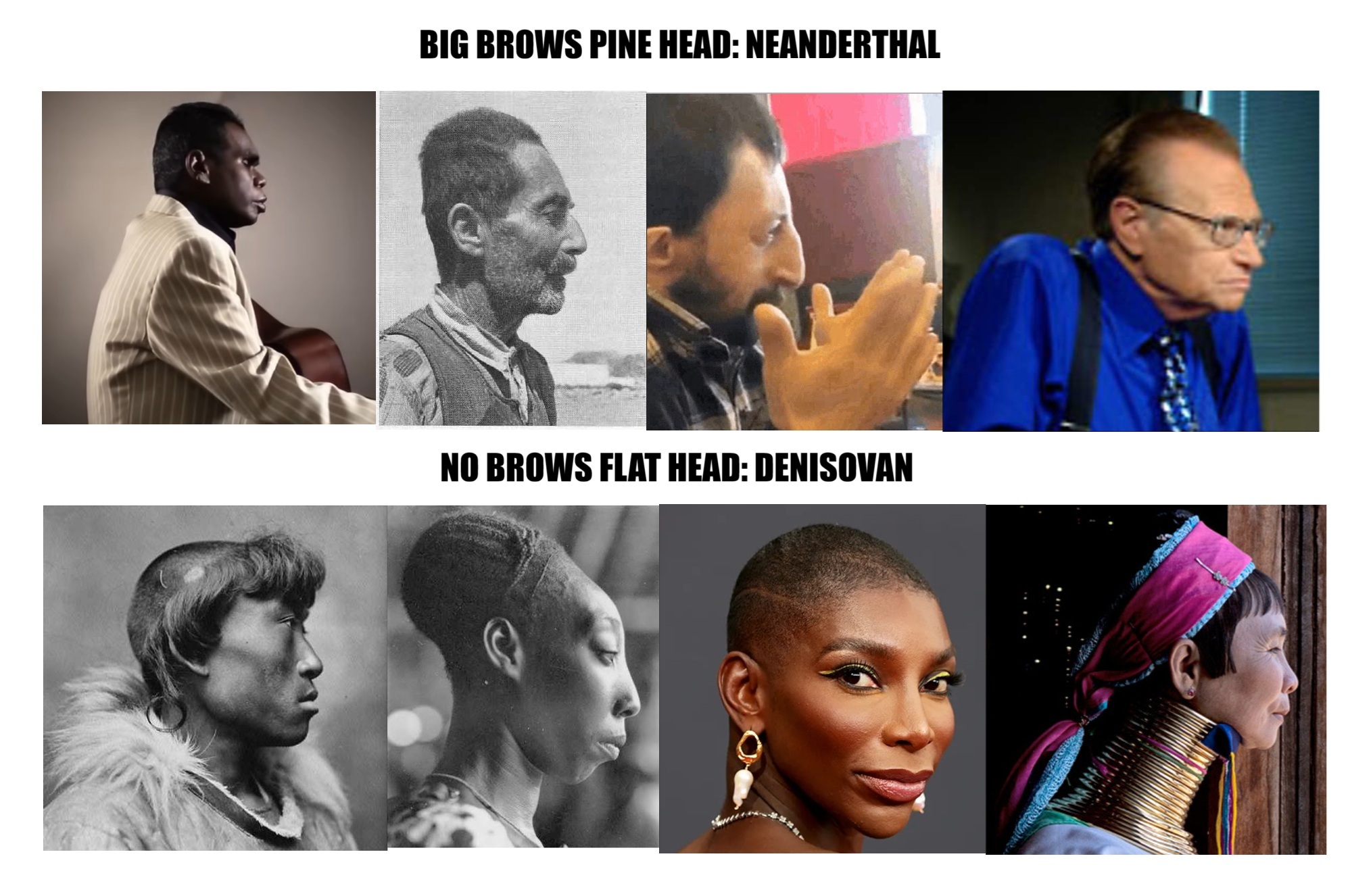 /his/ - Reminder that the wretched pine headed big brows s - History ...