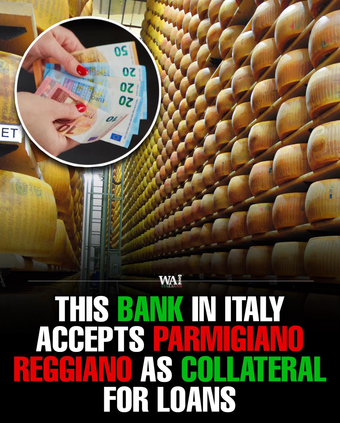 /int/ - i often think about the italian dairy industry - International - 4chan