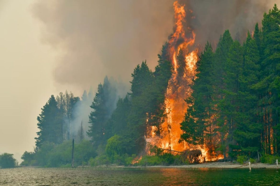 /out/ - You did visit Patagonia before some tourist decide - Outdoors ...