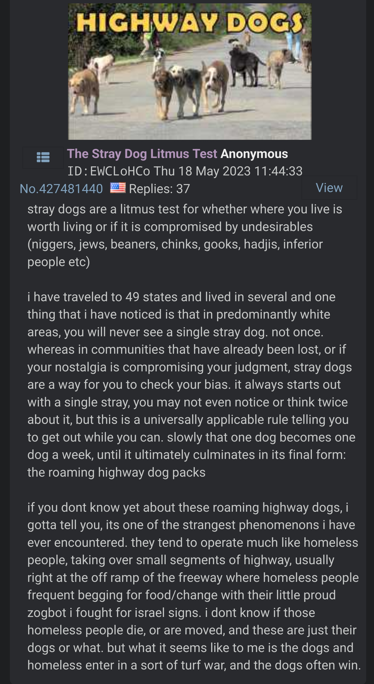 /pol/ - The Slumdog Litmus test is real - Politically Incorrect - 4chan