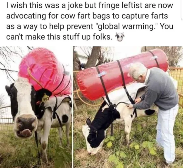 /pol/ - Expensive gas problem solved - Politically Incorrect - 4chan