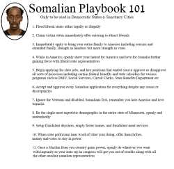 /pol/ - What should be done with the Somalians? - Politically Incorrect ...