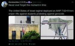/pol/ - why are they trying to memory hole the time when t ...