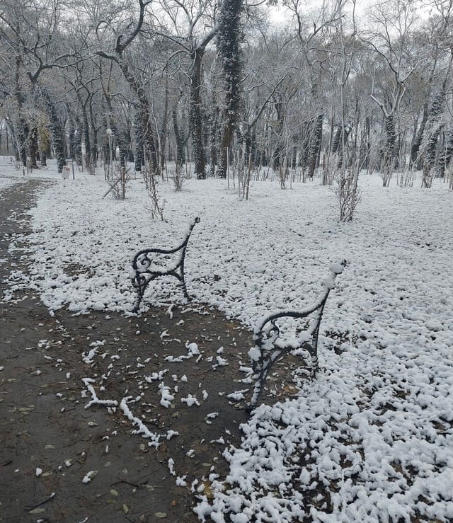 /pol/ - Why is the Right expecting me to support gun contr ...