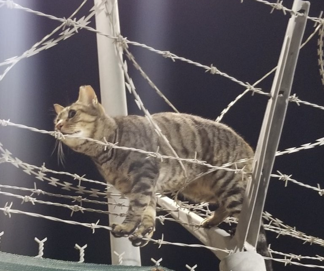 /r9k/ - Today is the first day I used a compound topical f - ROBOT9001 ...