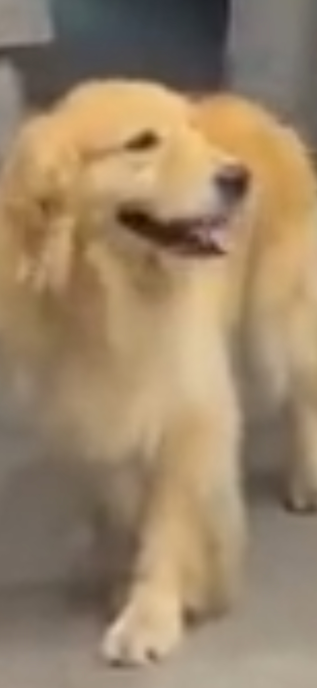 /r9k/ - In China, powerful white women assert dominance ov - ROBOT9001 ...